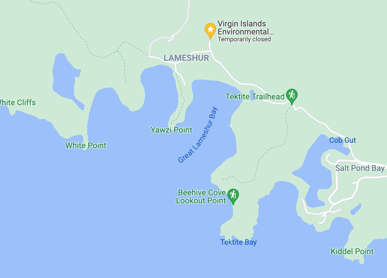 Marine Animal Tracking Results
