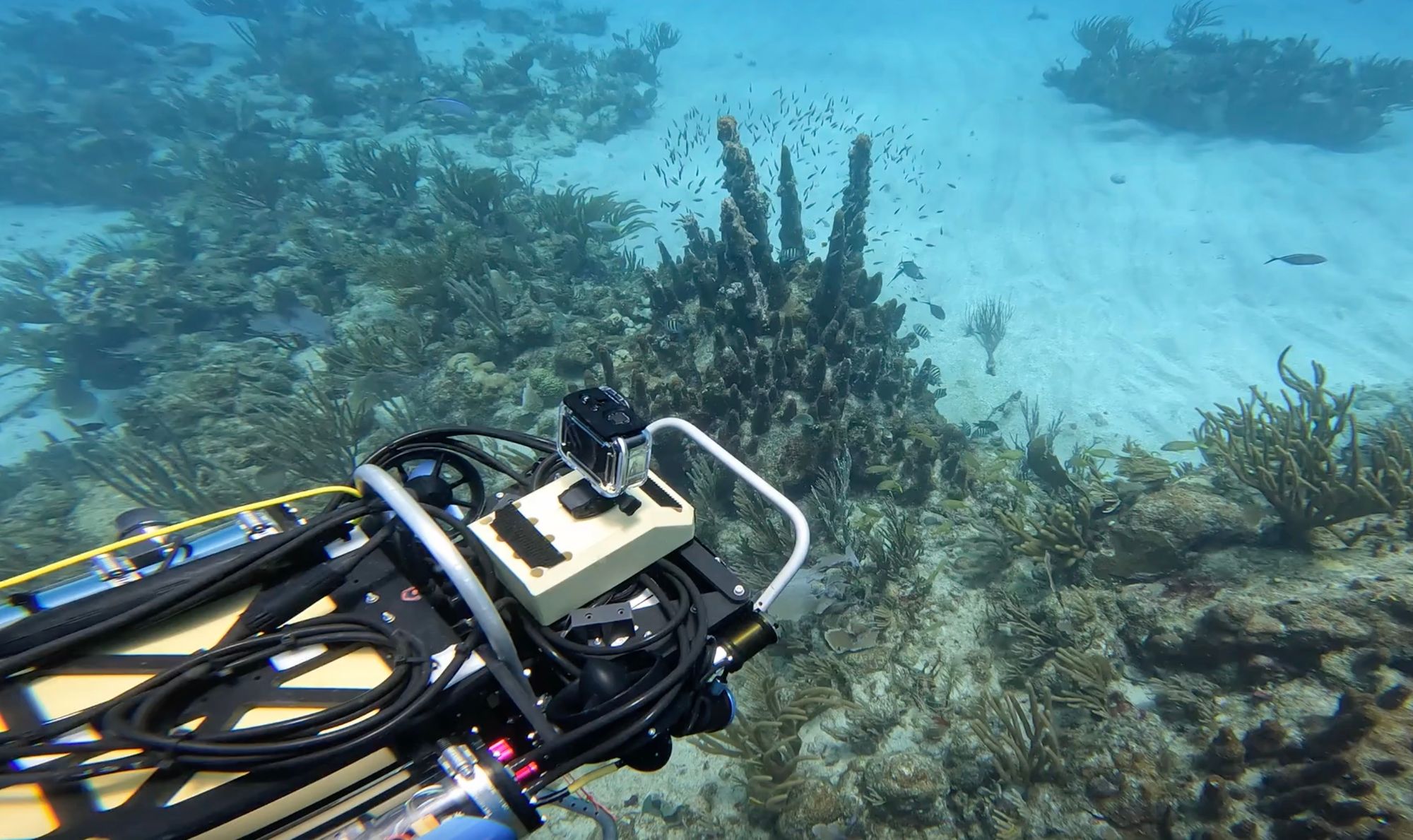 Semi-supervised Visual Tracking of Marine Animals Using Autonomous ...